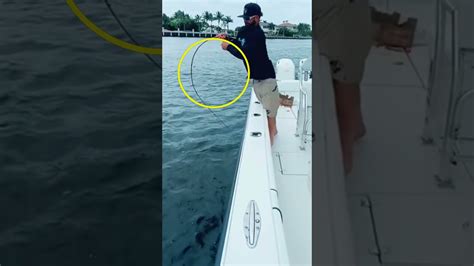 Image result for Fish Fail