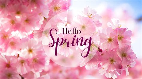 Image result for Hello Spring Facebook Cover
