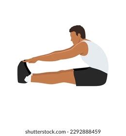 Image result for Toe Touch Hamstring Stretch