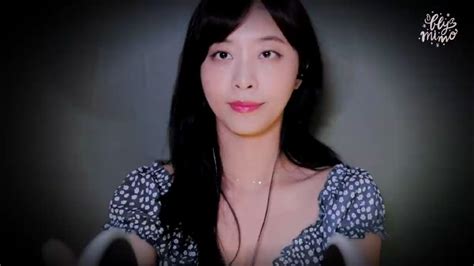 Image result for Fly Mimo