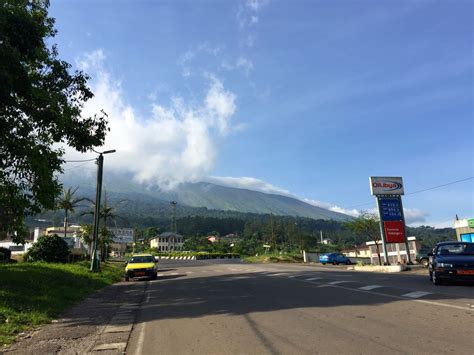 Image result for Python Buea Cameroon