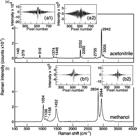 Raman Spectrometer Uses at Dean Pridham blog