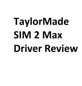 Image result for Sim 2 Max Review