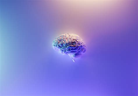 Image result for Critical Thinking Brain