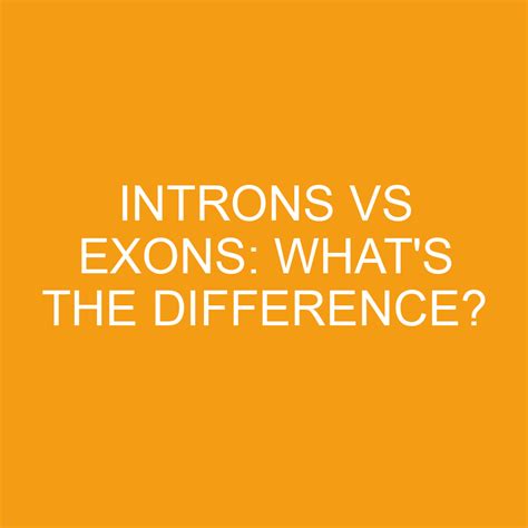 Introns Vs Exons: What's The Difference? » Differencess