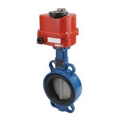 Image result for 2-Port Modulating Control Valve
