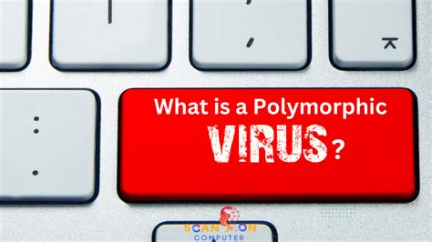 Image result for Polymorphic Computer Virus