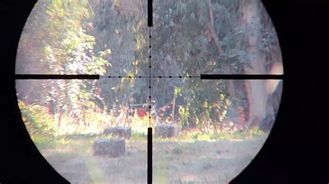 Image result for 22LR Drop Chart