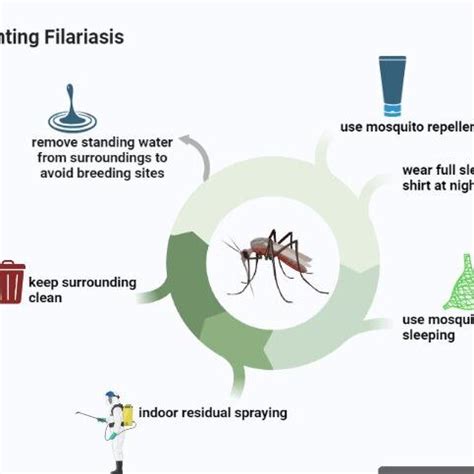 Image result for Vector Control