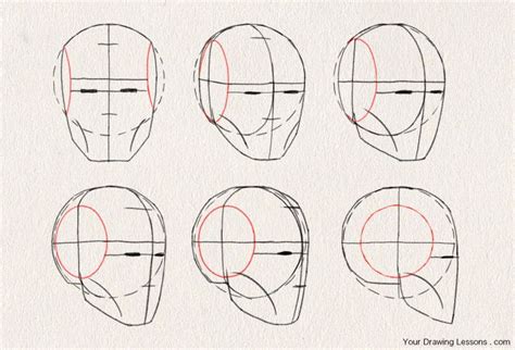 Image result for Proportion Drawing