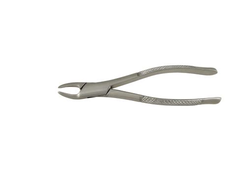 Image result for Extracting Forceps