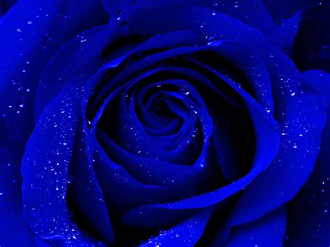 Image result for How Beautiful Blue