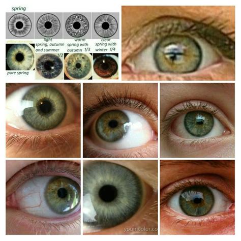 Image result for Bright Spring Eye Pattern