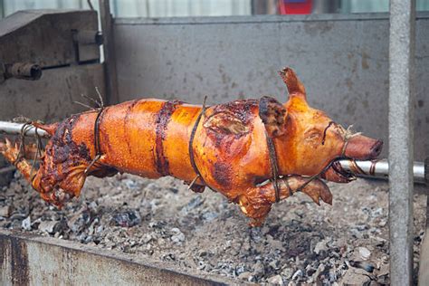 Image result for Python Roast Recipe