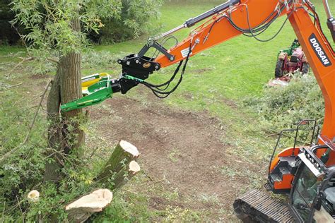 Image result for Tree Lopper Lift