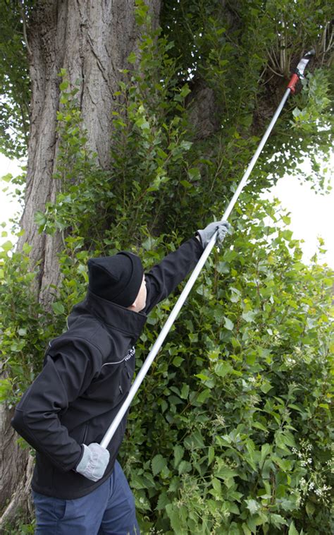 Image result for Tree Saws Hand