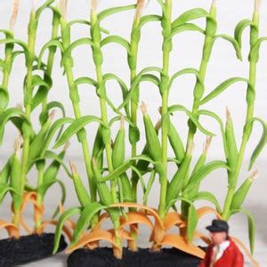 Image result for HO Scale Corn Stalks