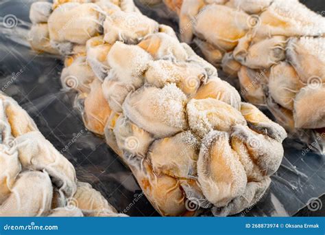 Image result for Cooked Shellfish