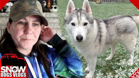 Image result for Snow Dogs Vlogs Mail