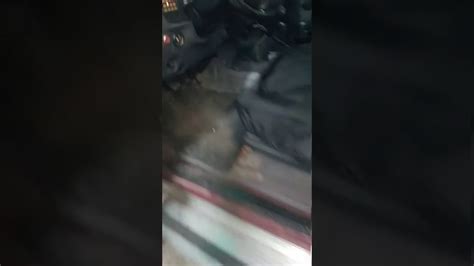 Image result for How to Use Diff Locks