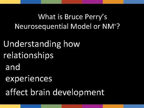 Image result for Bruce Perry Brain Slide