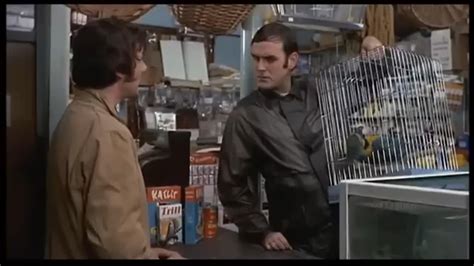 Image result for Monty Python Parrot