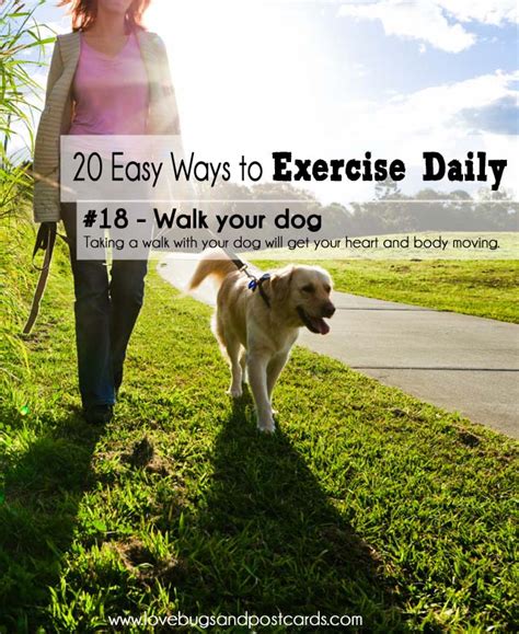 Image result for Daily Exercise for Beginners