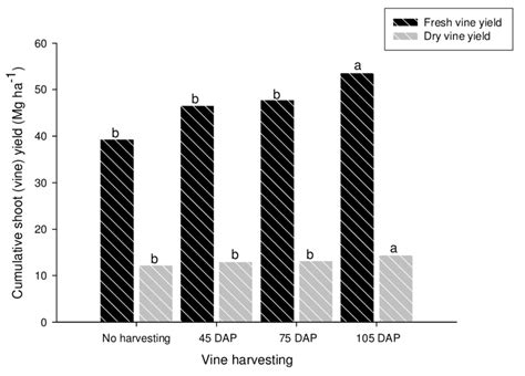 Image result for Vine Success Graph