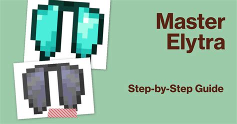 Image result for Elytra Guide