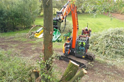 Image result for Tree Lopper Lift