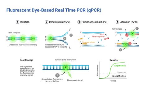Image result for Real-Time PCR Technology