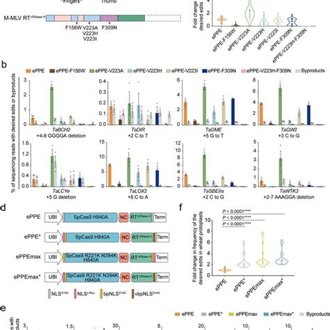 Image result for Prime Editing