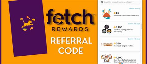 Image result for Fetch Code