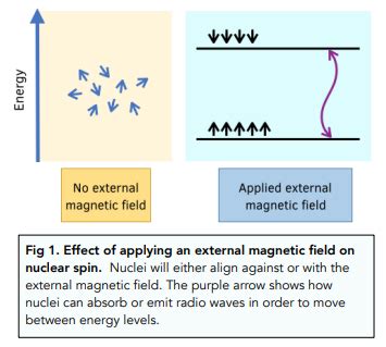Nuclear Magnetic Resonance Spectroscopy – Exam-Corner