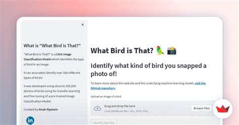 Image result for Example of RPA Bird Count