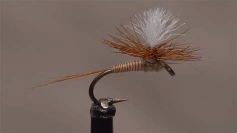 Image result for Fly Tying Using Body Quill