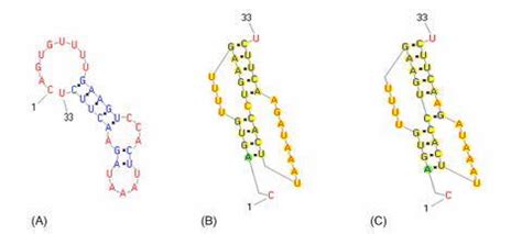 Image result for Major Final Output Examples