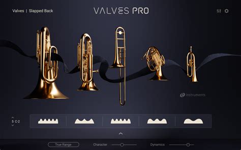 Image result for Native Instruments Valves VST