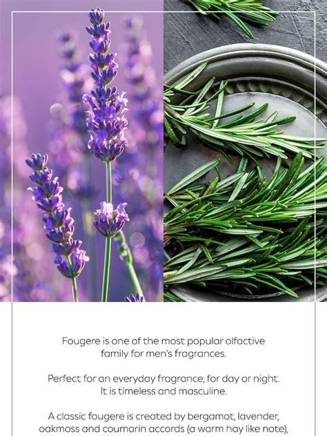 Image result for Next Code Red