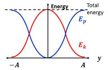 Image result for Vertical Spring SHM Energy Graph