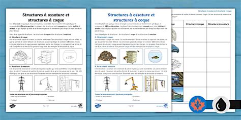 Image result for Frame and Shell Structures Grade 5 Worksheets