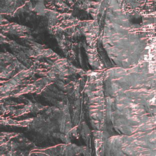 Image result for Gabor Filter Applications