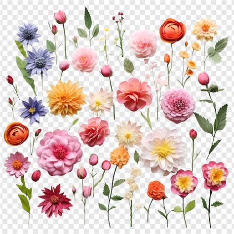 Image result for Flower Craft Different Types