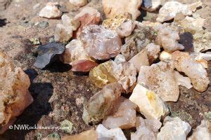 Image result for Agate Hunting Tips