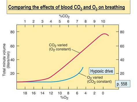 Image result for O2 Effects