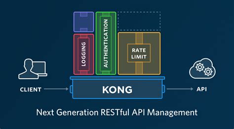 Image result for Kong API Gateway Example