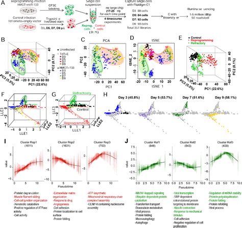 Image result for Cell Fate Reprogramming