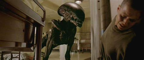 Image result for Alien 3 Lento