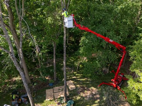 Image result for Lift Machine for Tree