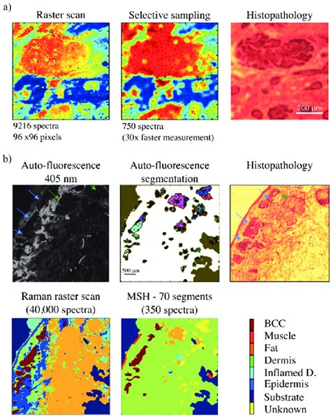 Image result for Selective Random Sampling